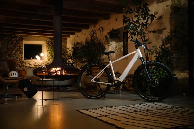 Coboc E-Bikes – Eleganz & Power für Stadt und Tour